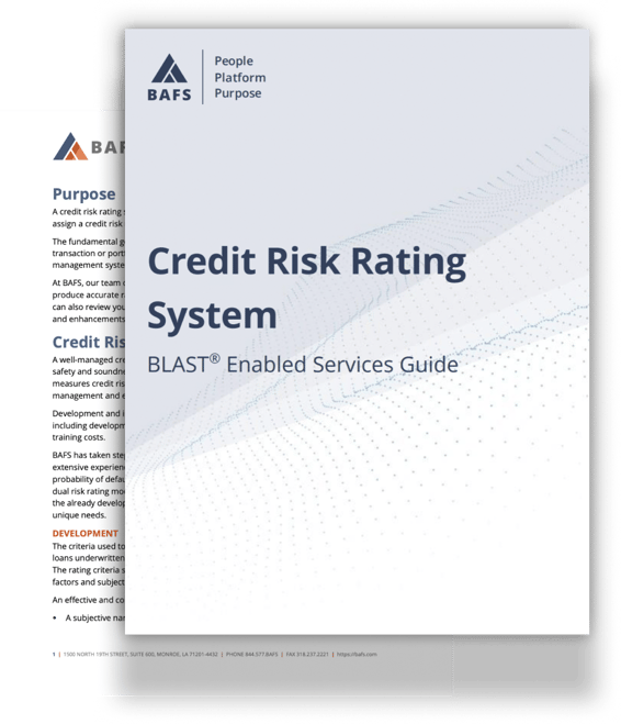 BAFS | Credit Risk Rating System Product Services